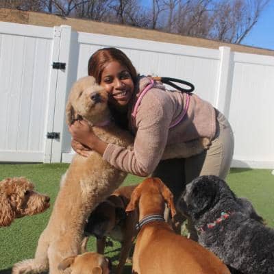 Niara J. | St.Louis, MO | Rover.com