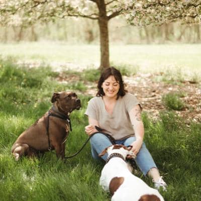 Shaelyn R. | Tipp city, OH | Rover.com