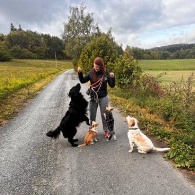 Tereza V. | Banff, AB | Rover.com