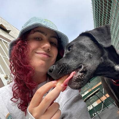 Amber H. | San Jose, CA | Rover.com