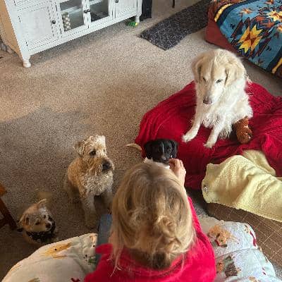 Lori D. | Hales corners, WI | Rover.com