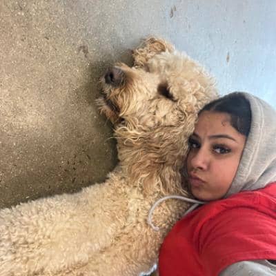 Aliyah M. | Bridgeport, CT | Rover.com