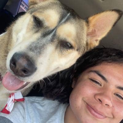 Persian S. | Fallbrook, CA | Rover.com