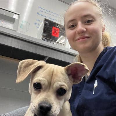 Alexis H. | Savage, MN | Rover.com