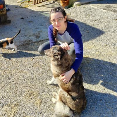 Find loving pet care with Desiree G. on Rover.com