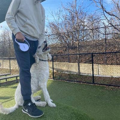 Gavin G. | Hillside, NJ | Rover.com