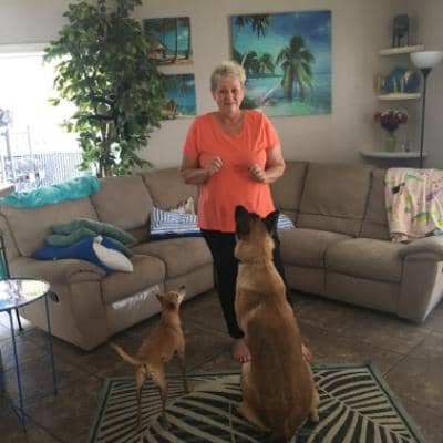 Cynthia M. | naples, FL | Rover.com