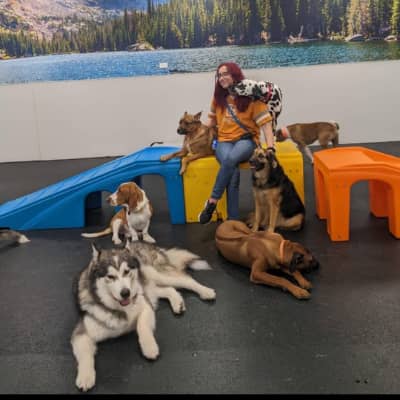 Grace H. | Biloxi, MS | Rover.com