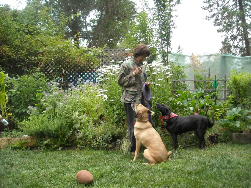 Marion R. | Angwin, CA | Rover.com