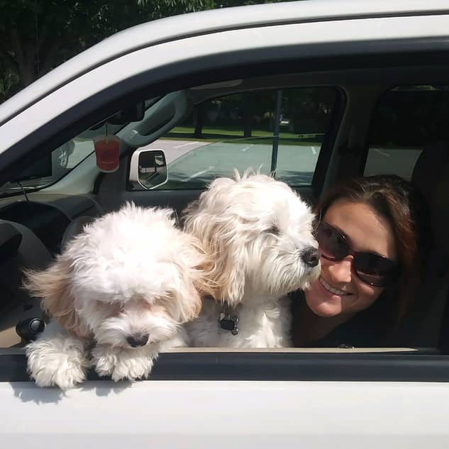 Alexandra W. | West Chester, PA | Rover.com