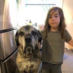 Dog Boarding Near You | Rover.com