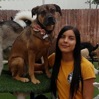 Elizabeth G. | Fenton, MO | Rover.com