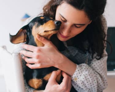 Rover Guarantee | Rover.com