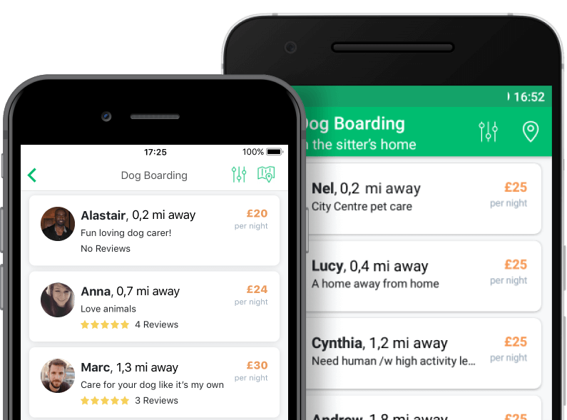 The UK's Best Dog Walkers Near You | Rover.com